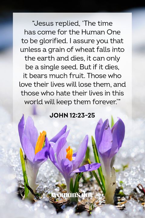 Fifth Sunday of Lent | Breaking Open the Word in Prayer